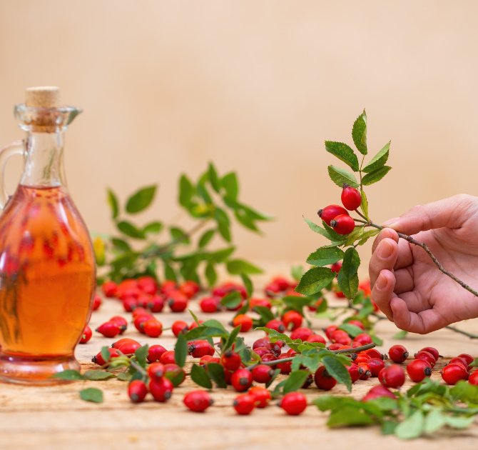 Rosehip: How this Natural Ingredient Can Transform Your Skin – Sole Toscana